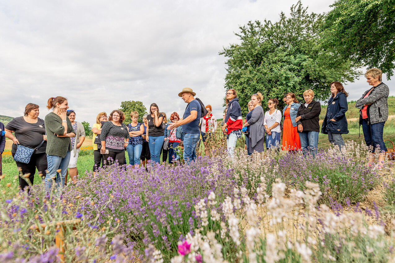 Chcete pěstovat pro SONNENTOR? - SONNENTOR.com